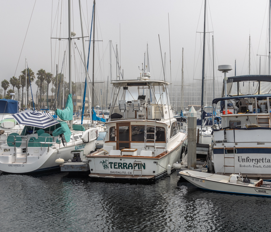 38 Ocean Sport 1984 Terrapin Redondo Beach, California Sold on 2021-03 ...