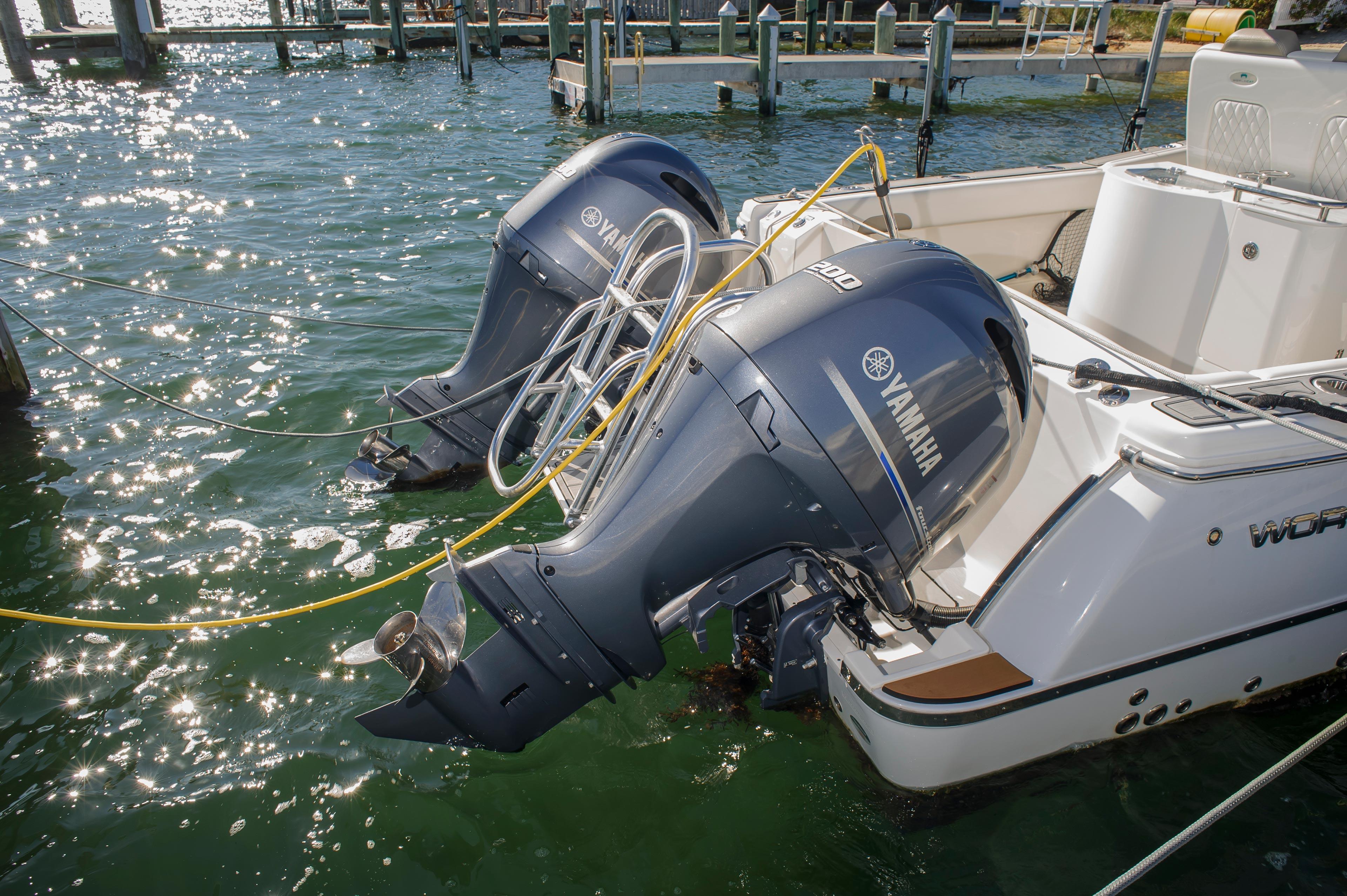 28 World Cat 2021 GATA Oak Bluffs, Massachusetts