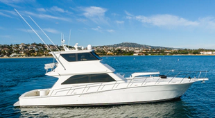 Triumph Yacht for Sale | 58 Viking Yachts Wilmington, CA | Denison ...