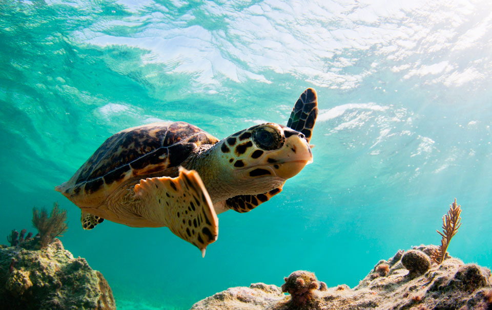 Bahamas Yacht Charter - Exumas